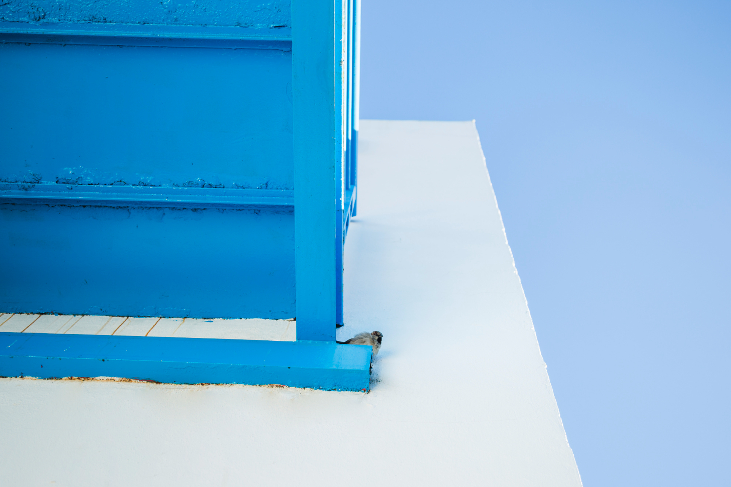Signs of Water Damage to the Baseboards in Your Home